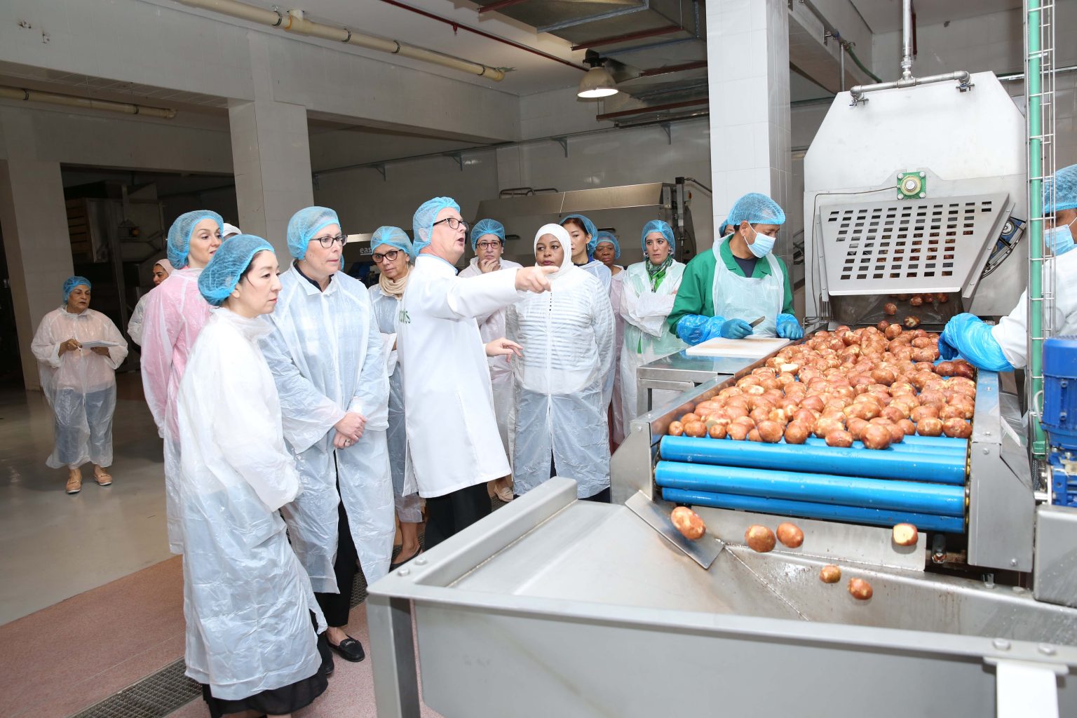 Hectare’s Crisp Factory - International Women’s Group